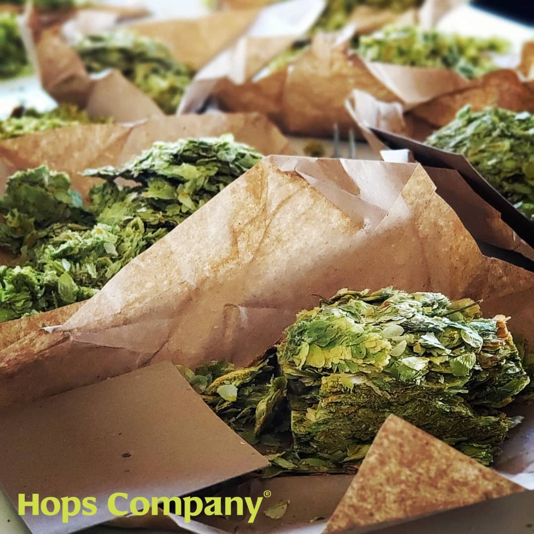 Explore Strata®, Luminosa®, and Zappa® – Hops Company