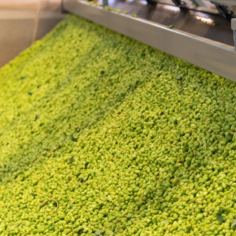 Lotes a caminho da Indie Hops – Hops Company