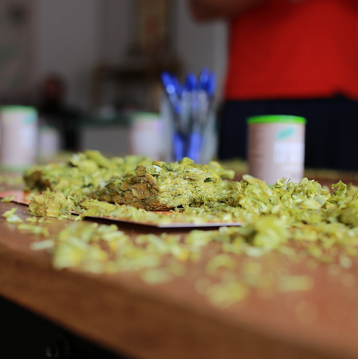 Exploring Columbus Hops: The Sensory Impact of Early vs. Late Harvests ...